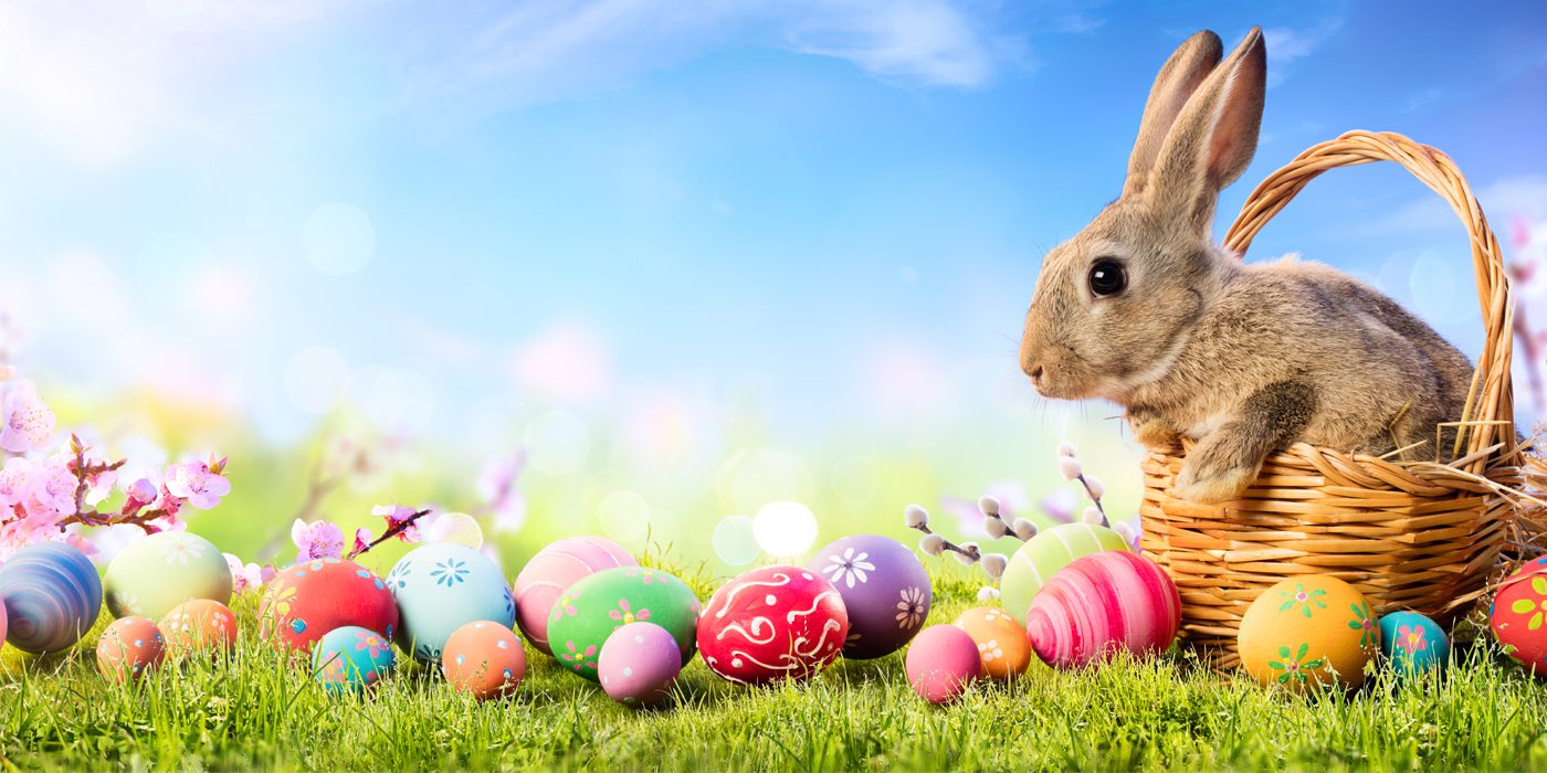 The Catholic Origins of Easter Traditions | The Catholic Talk Show